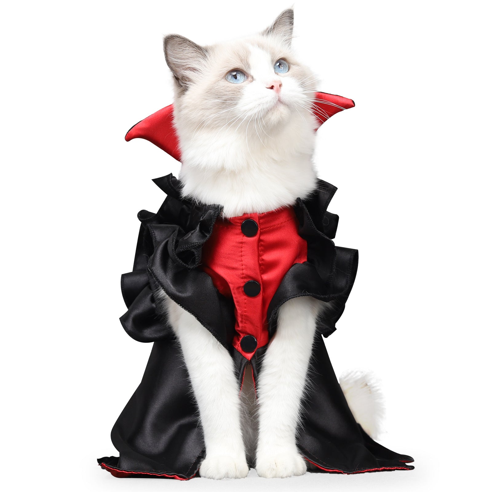 Alpscommerce Cat Skirts Vampire Transformation Costume – ALPSCOMMERCE