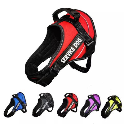 Personalized Harness – ALPSCOMMERCE